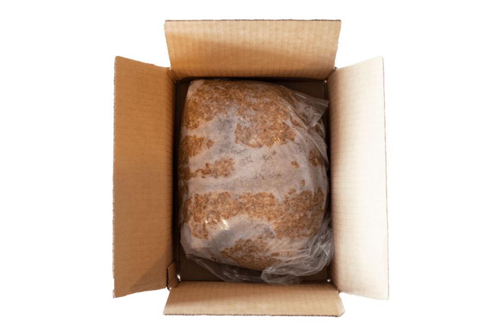 Item 195 - Italian, Bulk, Mild, No Paprika, Raw - Polidori Sausage